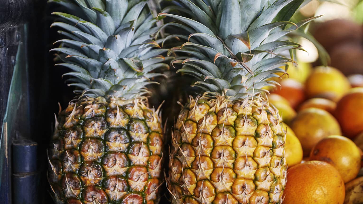 Four Seasons Hotels and Resorts | Luxury Hotels | Four Seasons ...