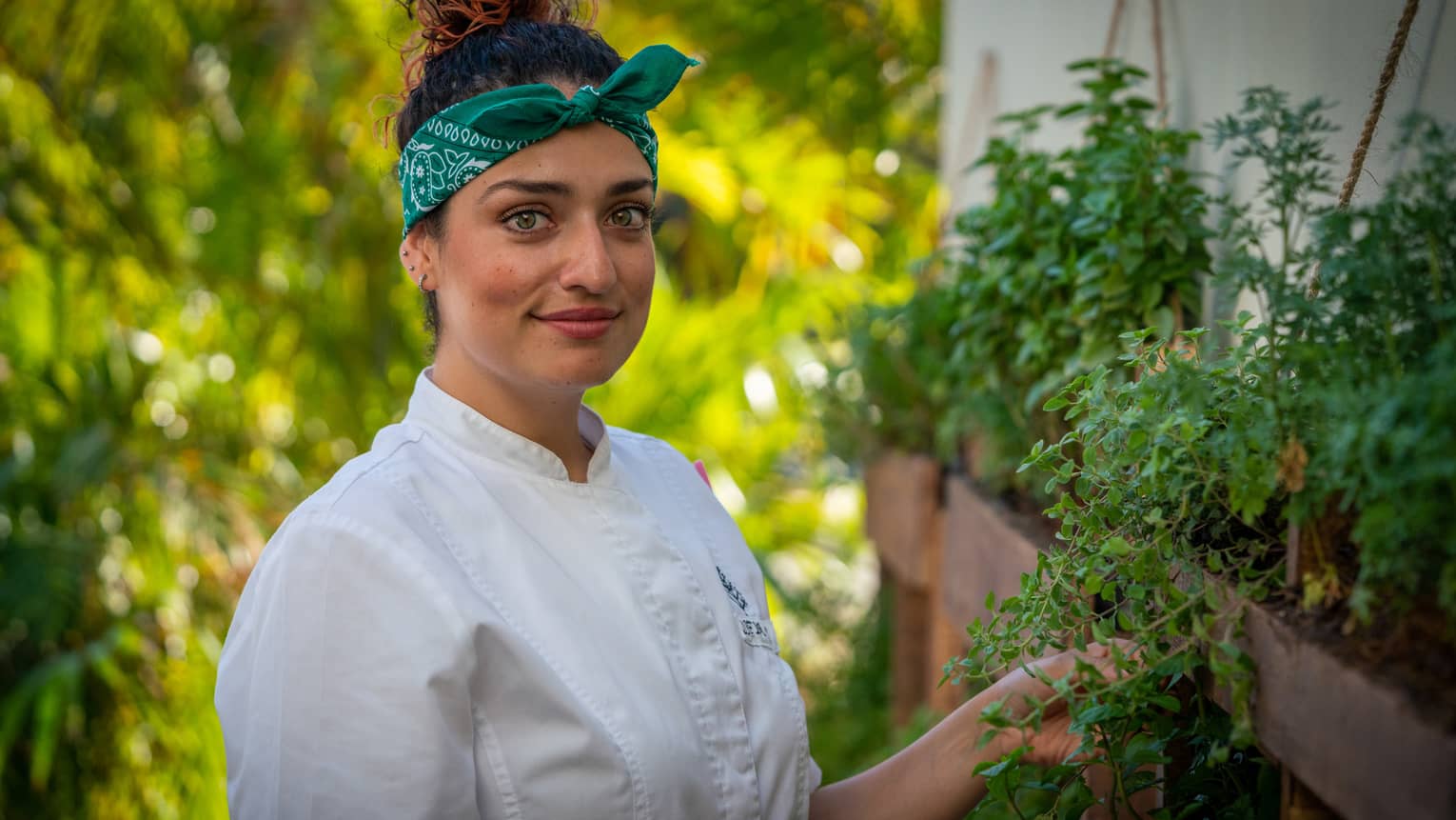 Four Seasons Resort Naviva® Punta Mita | All Inclusive Dining