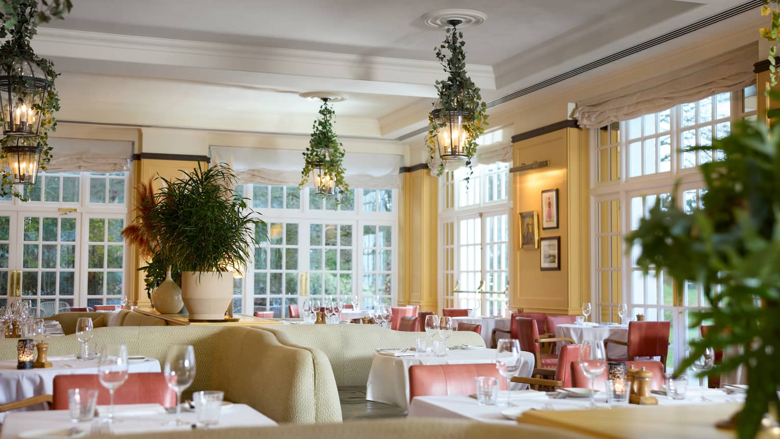 The Bar at The Wild Carrot | Hampshire Bar | Four Seasons Hotel Hampshire