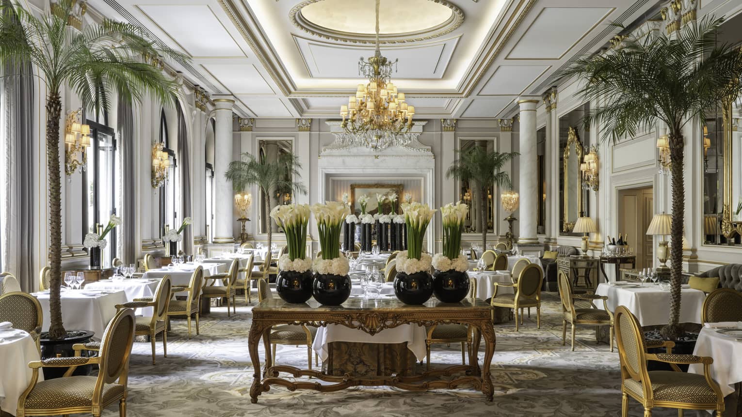 Restaurant de cuisine française à Paris | L'Orangerie au Four Seasons ...