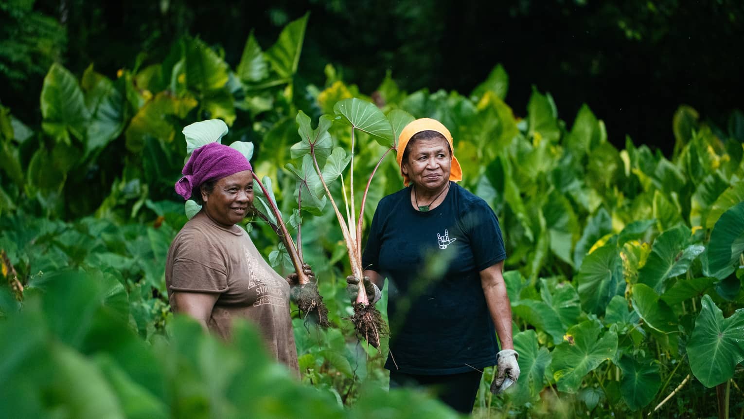 Four Seasons Hotels and Resorts | Luxury Hotels | Four Seasons | Palau ...