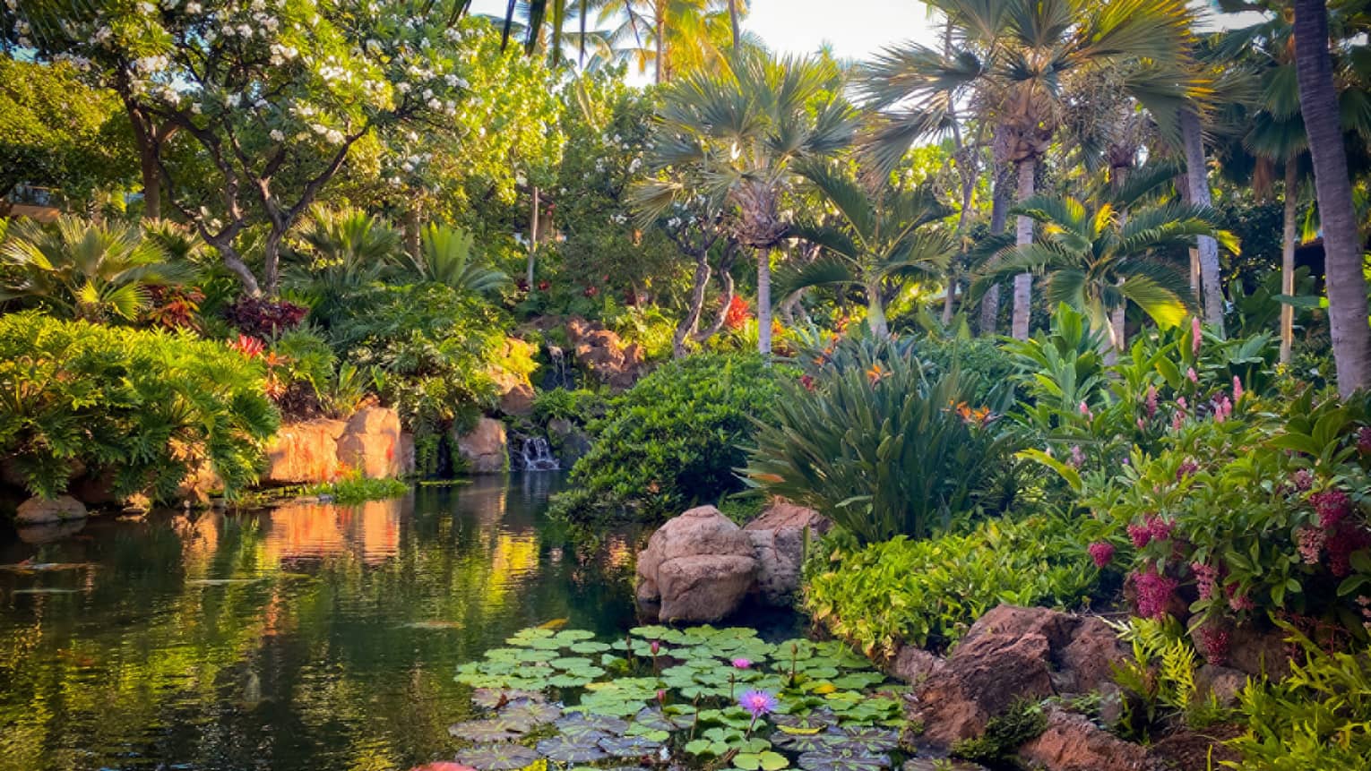 Our Environmental Commitment | Four Seasons