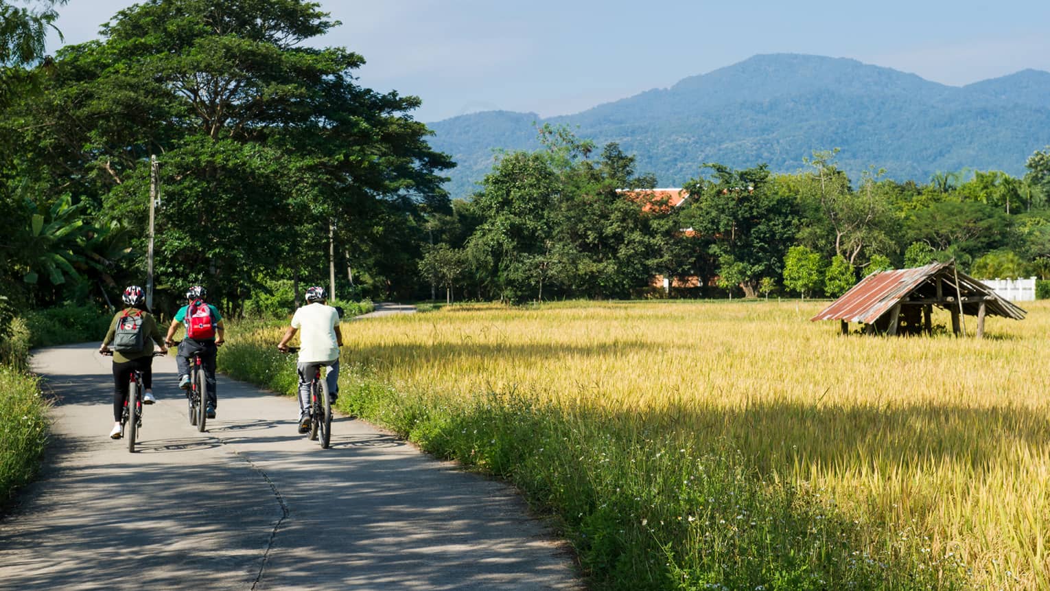 Chiang Mai Group Activities | Meetings & Events | Four Seasons Resort