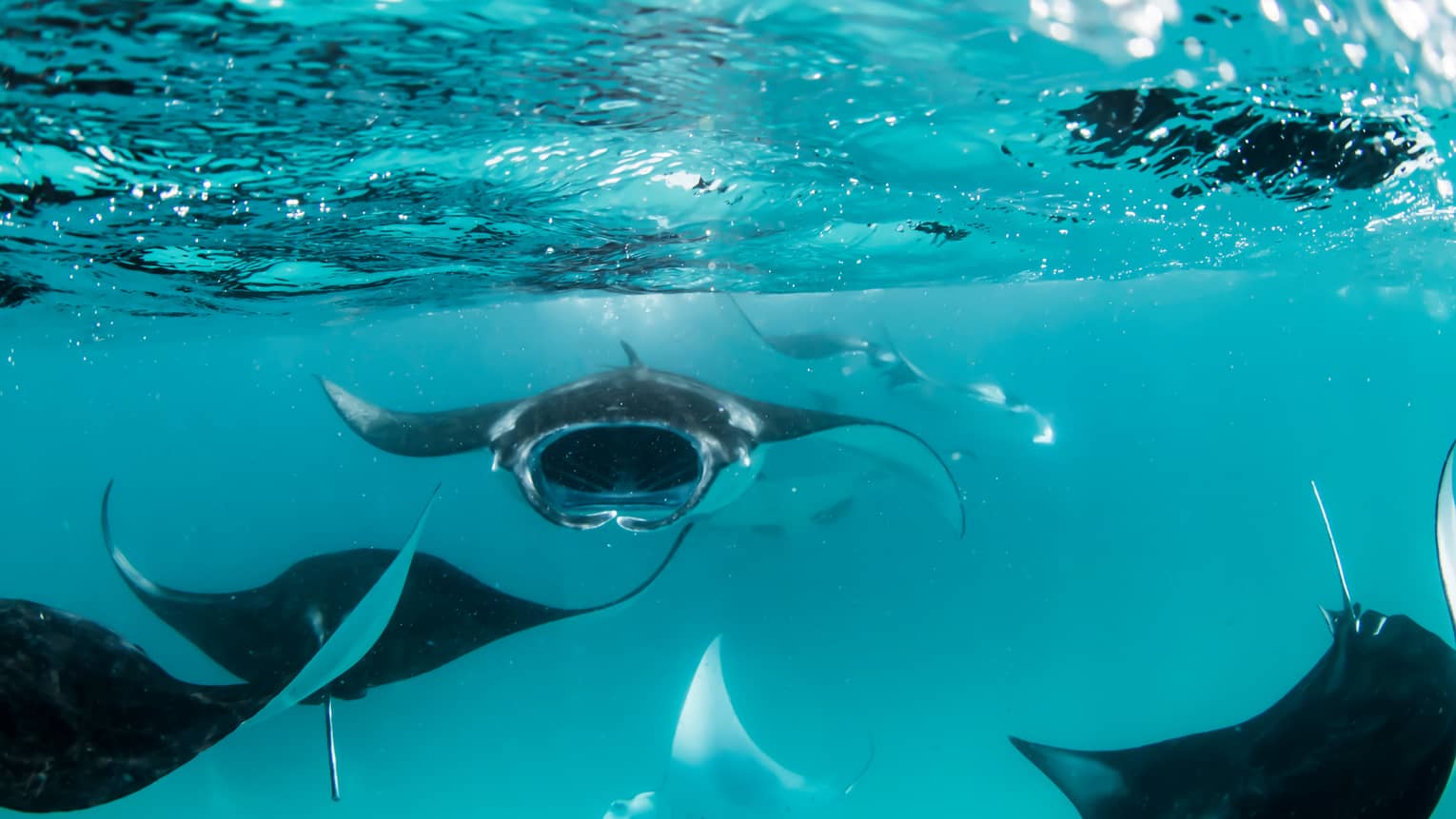 Maldives Luxury Resort | Four Seasons Maldives Landaa Giraavaru