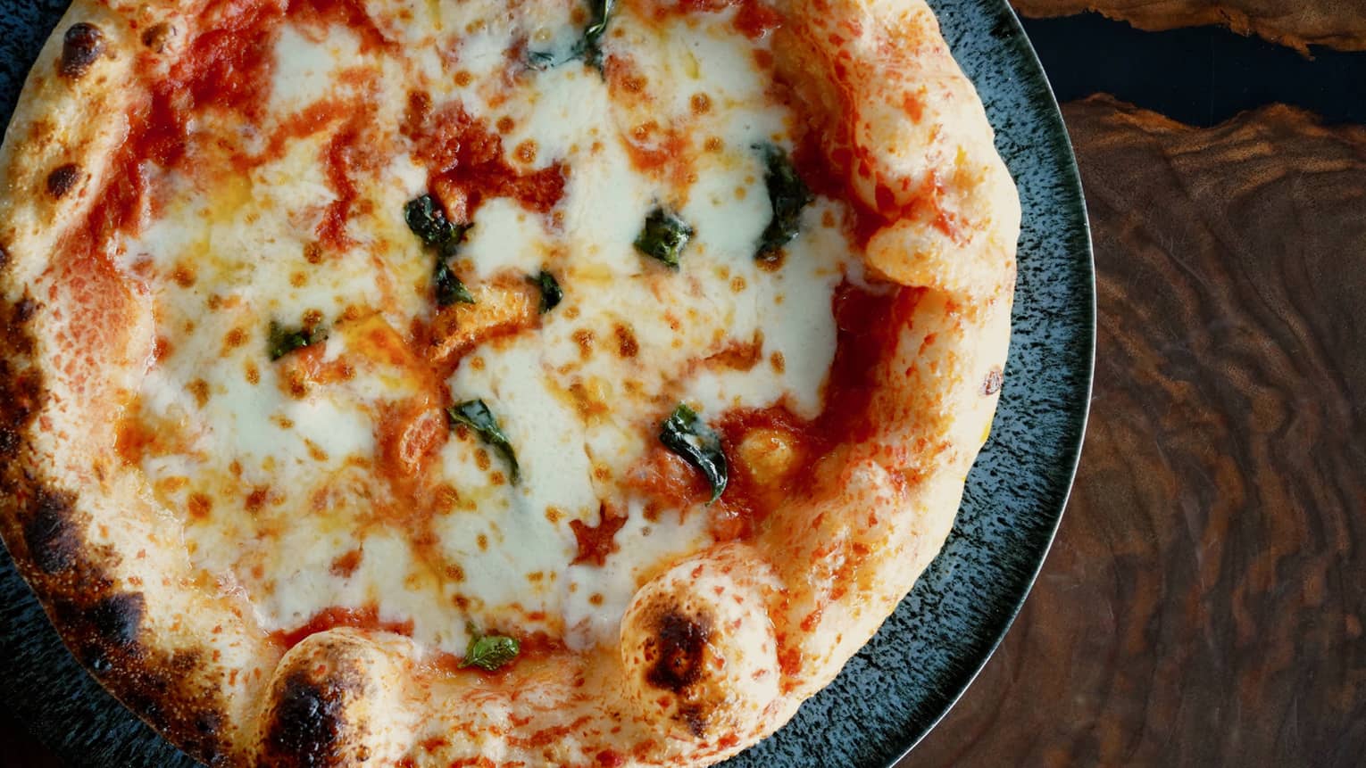 Tokyo Fine Dining Italian Restaurant | PIGNETO | Four Seasons Otemachi