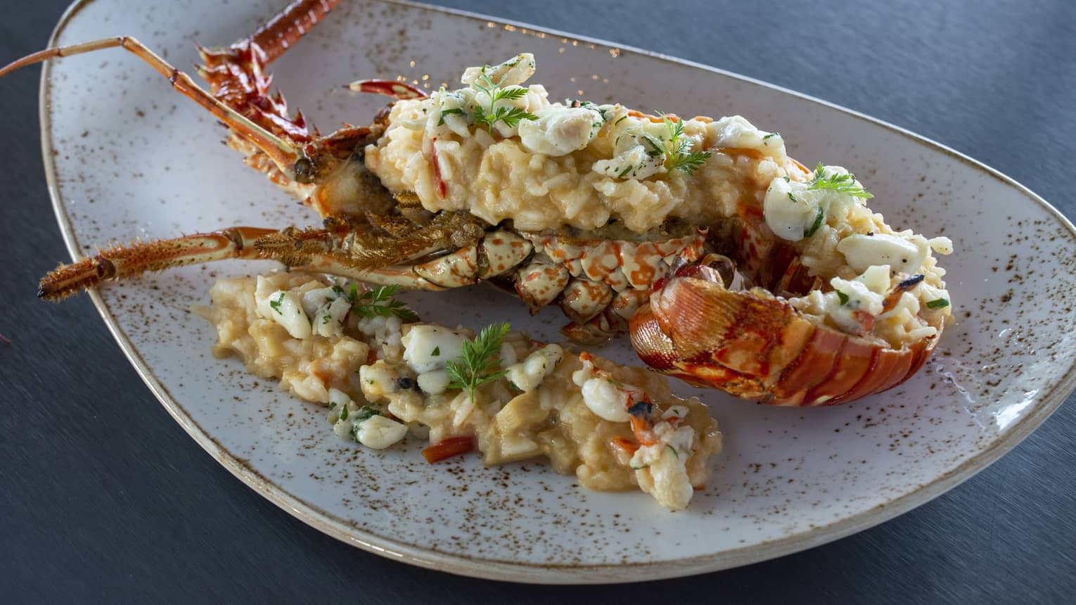 Anguilla Seafood Restaurant | SALT at Four Seasons