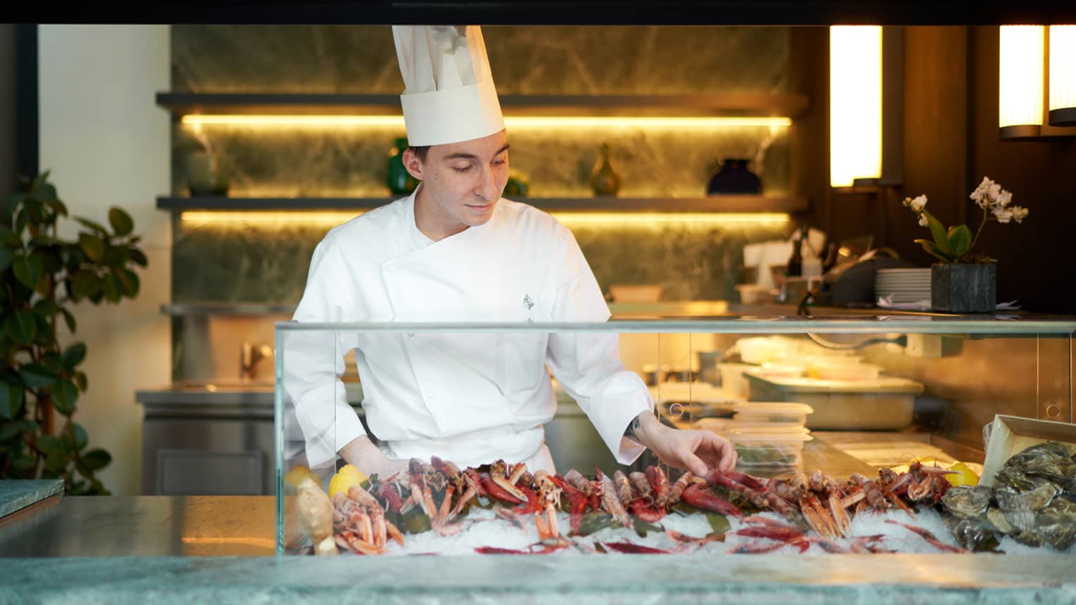 Milan Italian Restaurant | Zelo | Four Seasons Hotel Milan