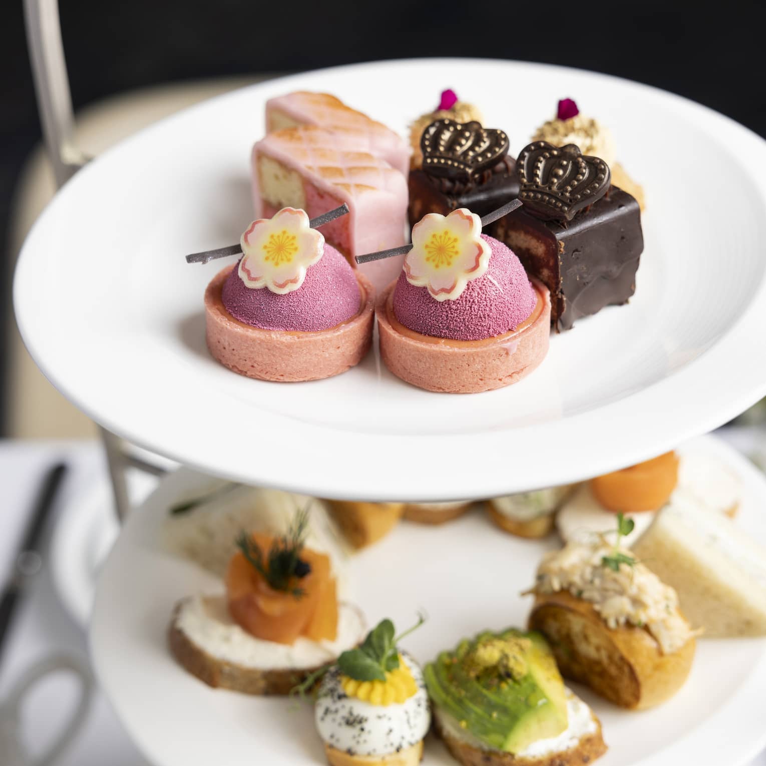 Georgetown Restaurants | Fine Dining Washington, DC | Four Seasons