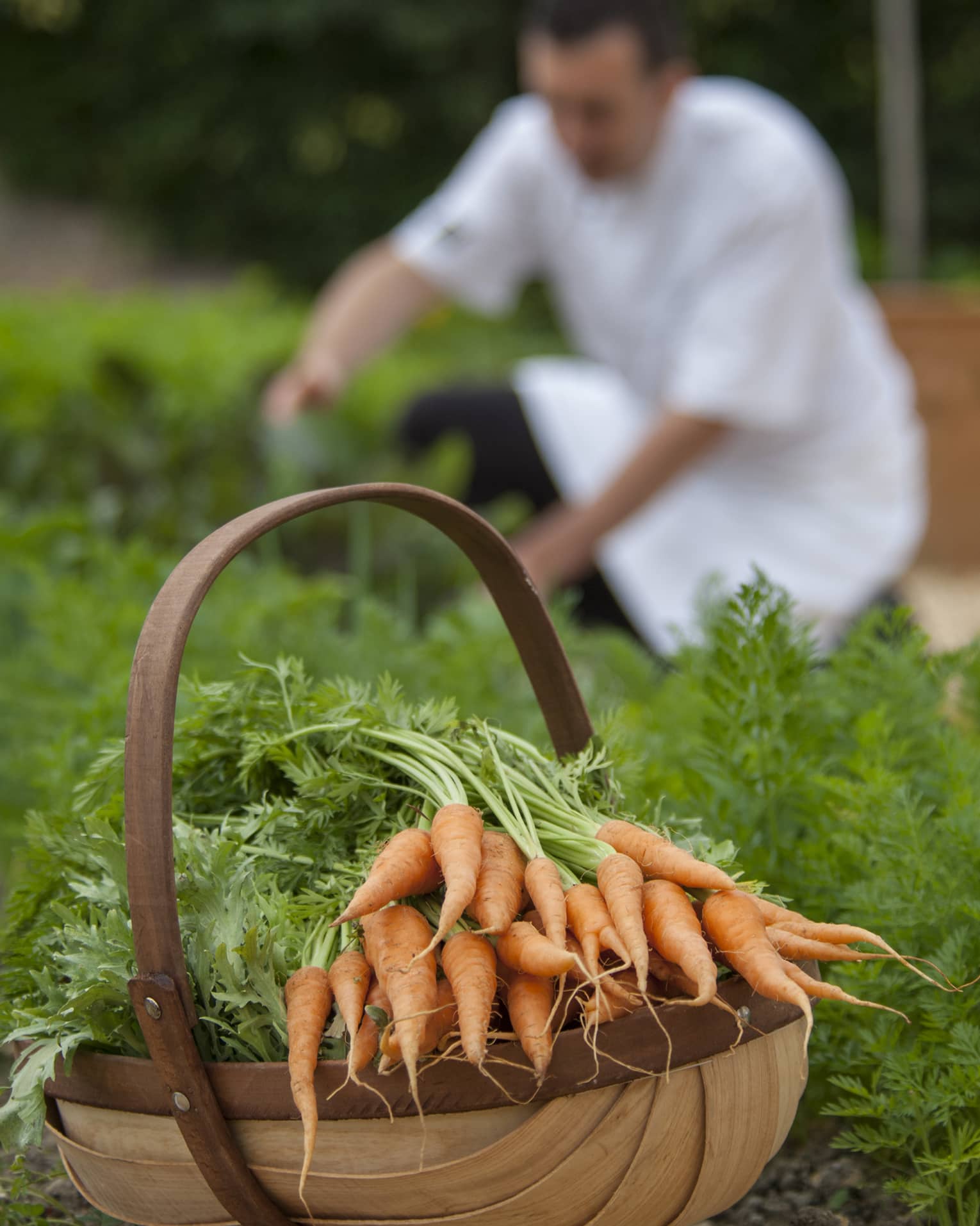 Luxury Hotel in Hampshire | Country Hotel Near London | Four Seasons