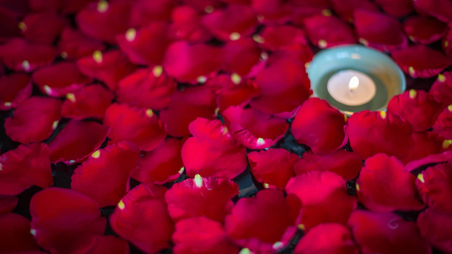 Spa in Riyadh | Men's Spa | Four Seasons at Kingdom Centre