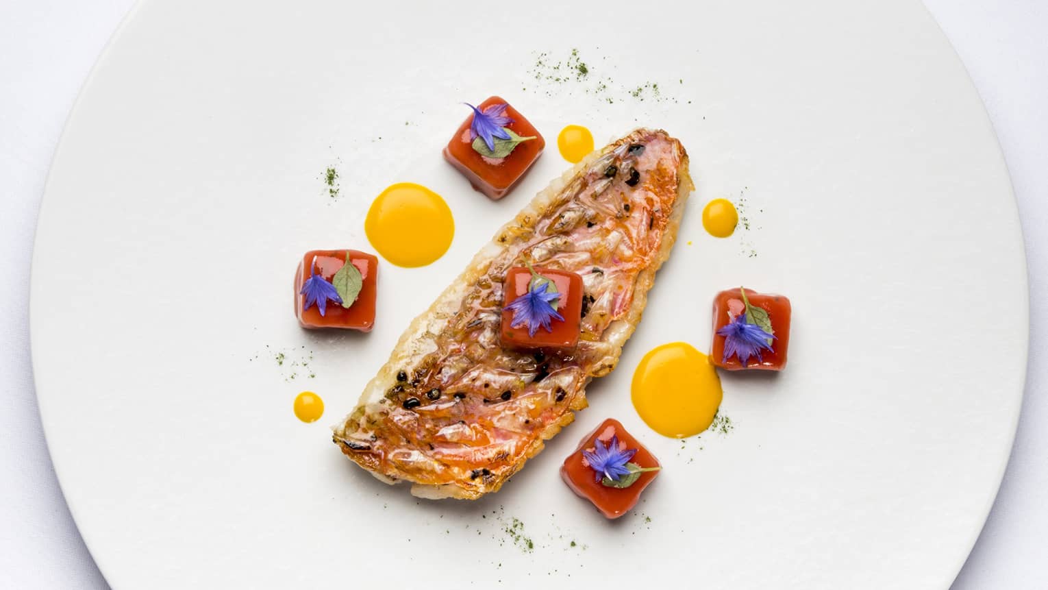 French Restaurant in Paris | L'Orangerie at Four Seasons George V