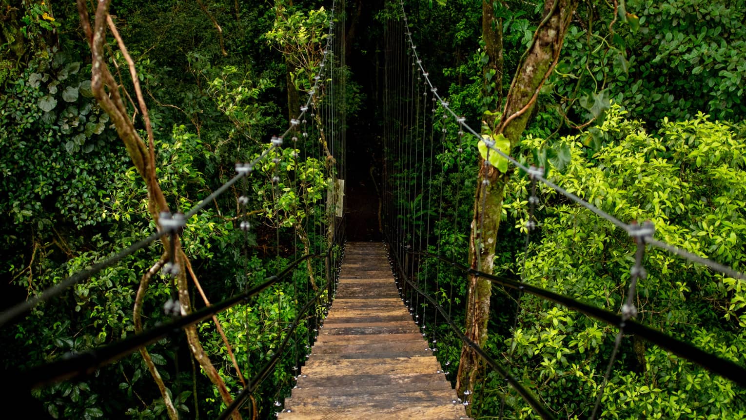 Costa Rica Resort | Four Seasons Costa Rica at Peninsula Papagayo