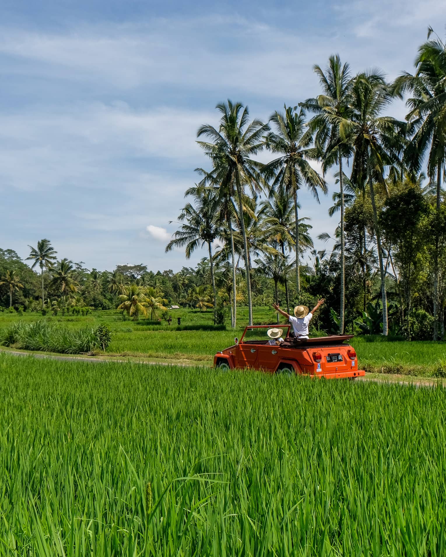 Bali Experiences near Ubud | Private Tours, Classes, Yoga & More