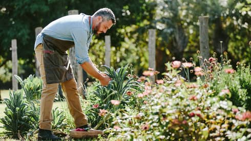 Our Environmental Commitment | Four Seasons