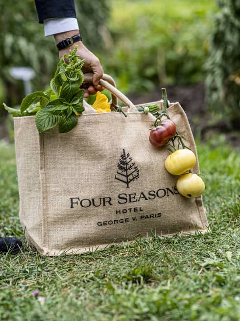 Four Seasons Hotels and Resorts | Luxury Hotels | Four Seasons | Planet