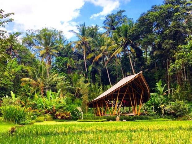 Bali Luxury Resort | Ubud Hotel | Four Seasons Resort Bali at Sayan