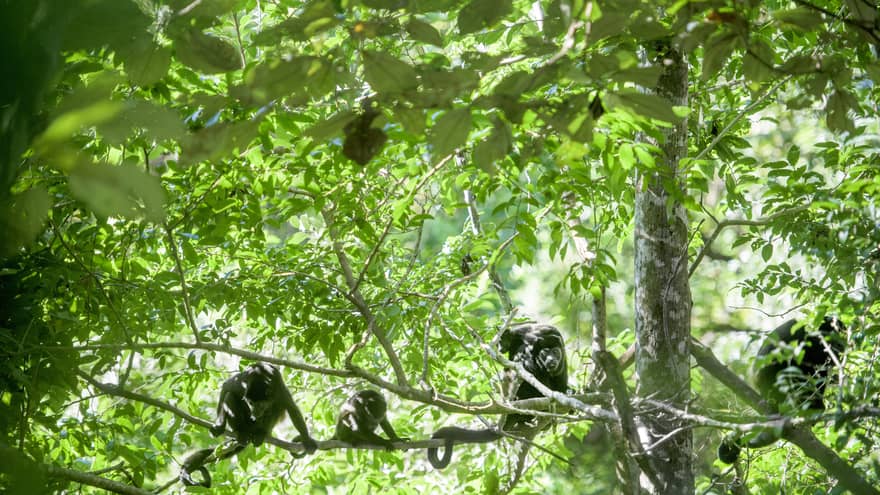 Resorts familiares en Costa Rica | Four Seasons Resort Costa Rica