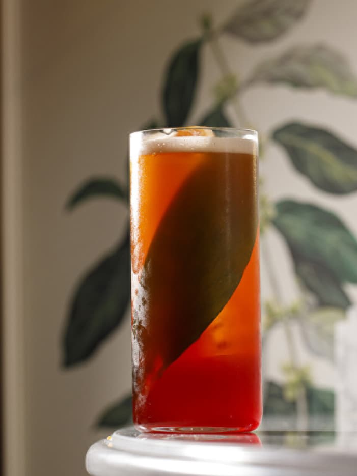 Bar Berni – Bar à vermouth italien | Four Seasons Hotel Firenze