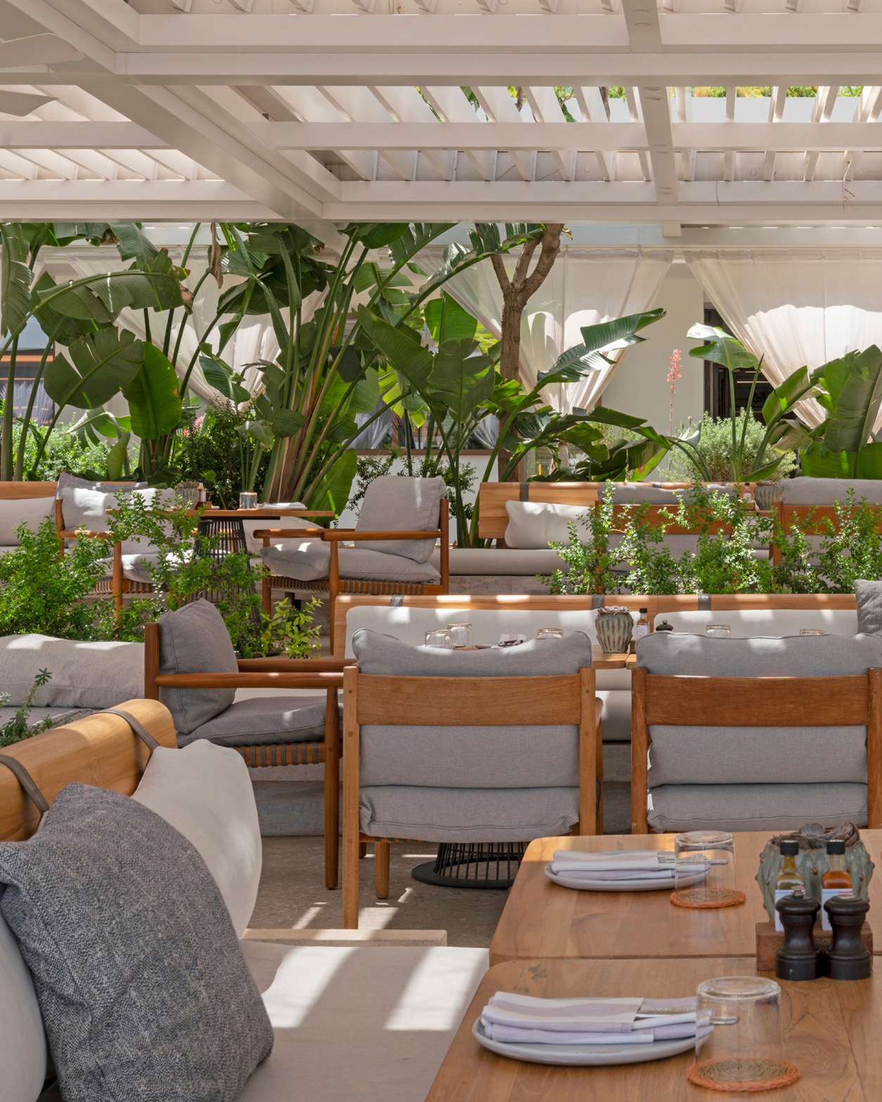 Five Ways Helios is a Feast for All the Senses