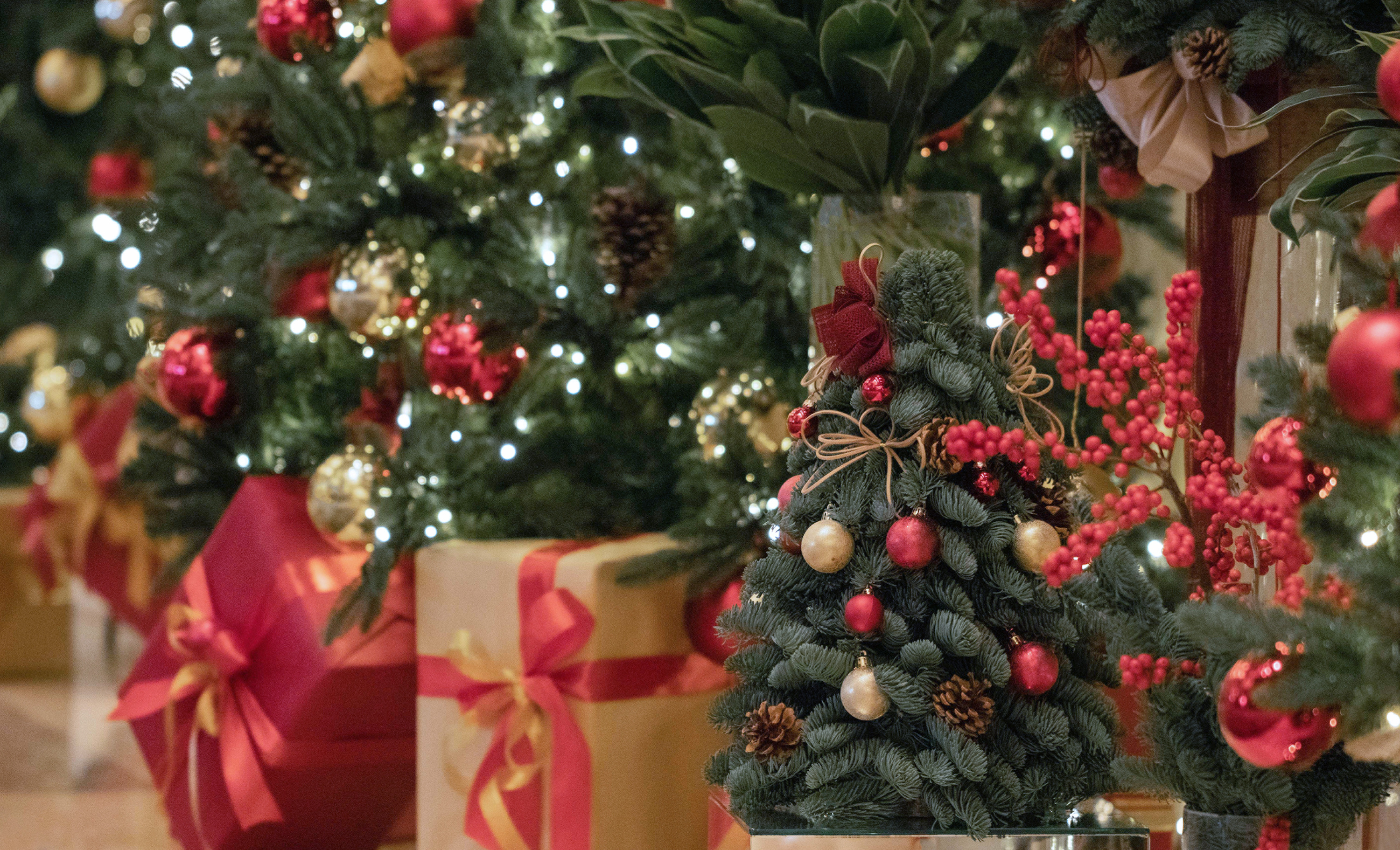 Radiant Christmas and Enchanting Winter Delights at Four Seasons Hotel ...