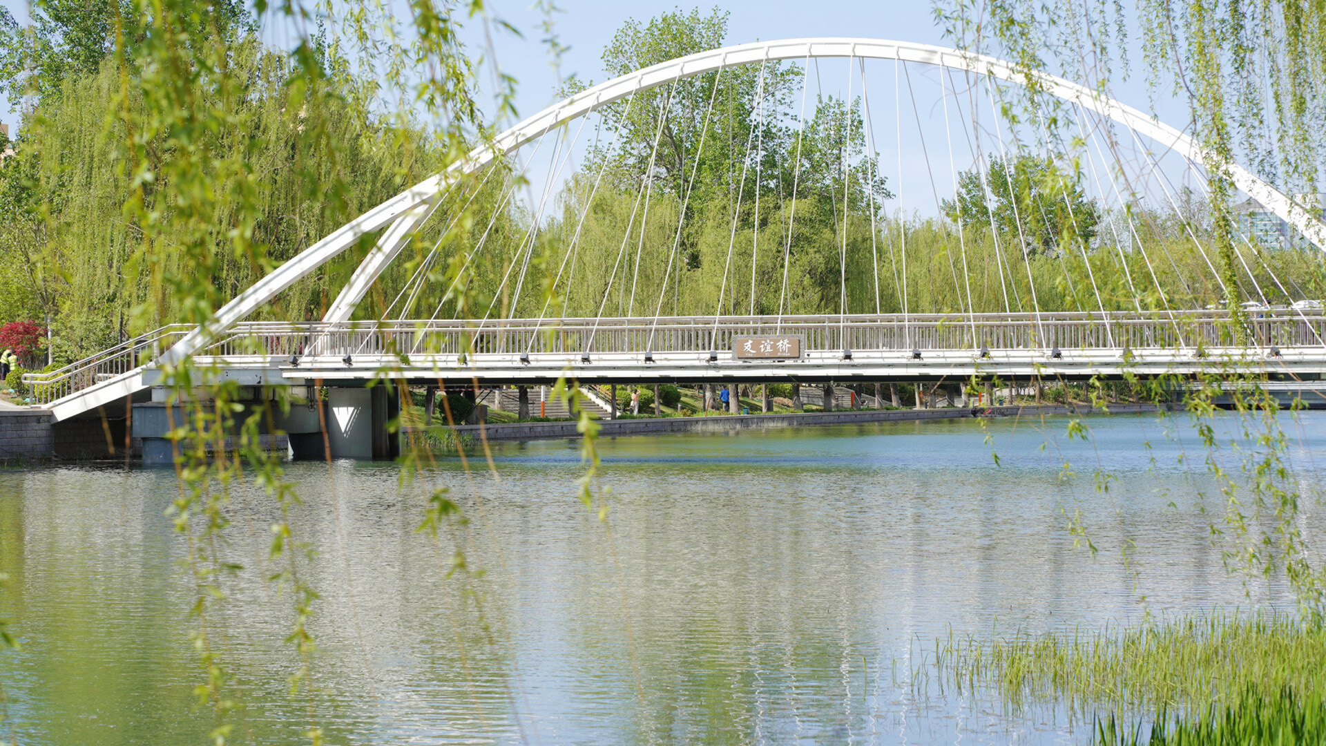 The Season of Spring Awakening and Radiant Renewal: A Journey of ...