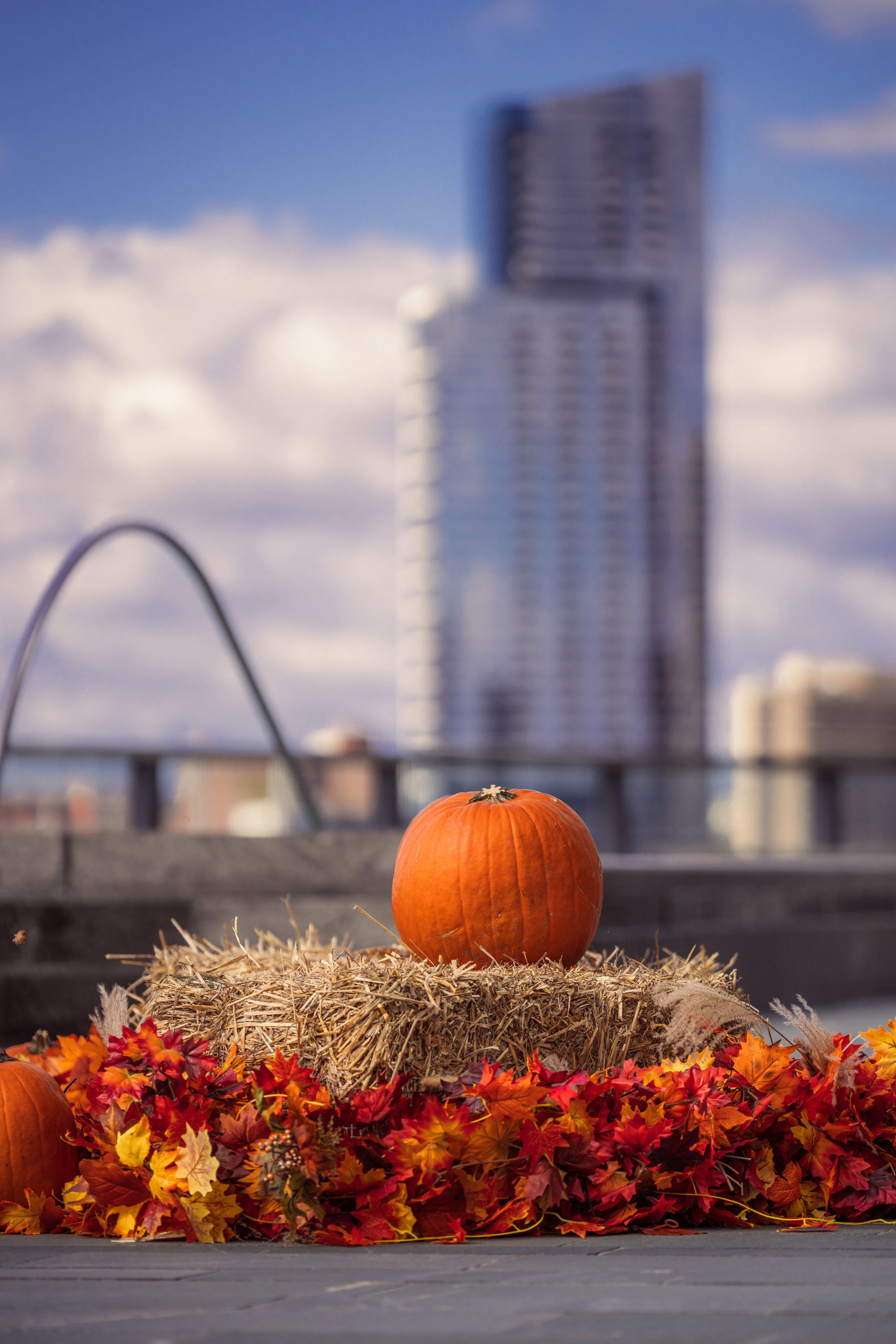 Discover Autumn Adventures and Activities at Four Seasons Hotel Baltimore