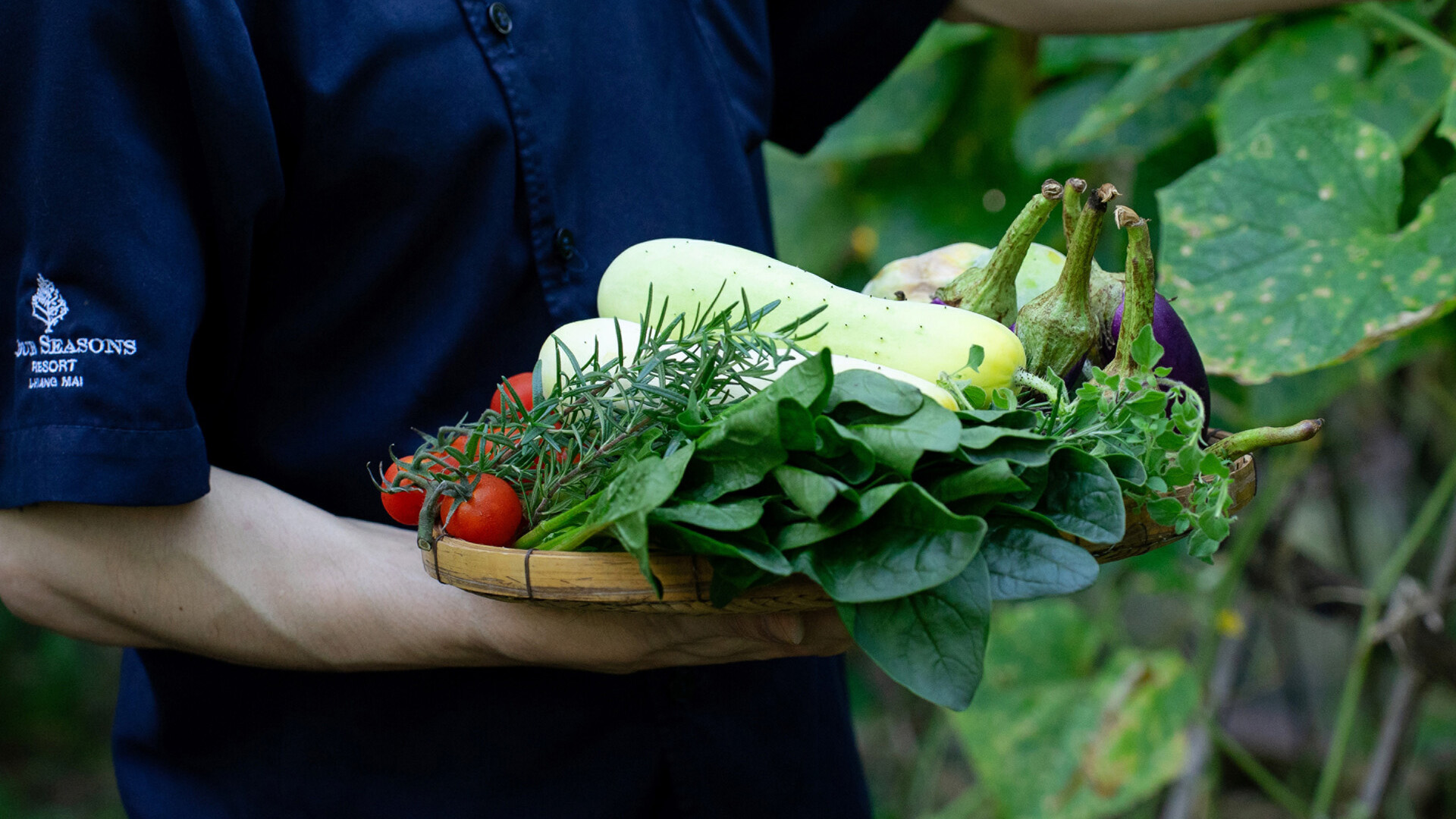 Discover Thai Culinary Arts: Interactive Cooking Classes at Four ...