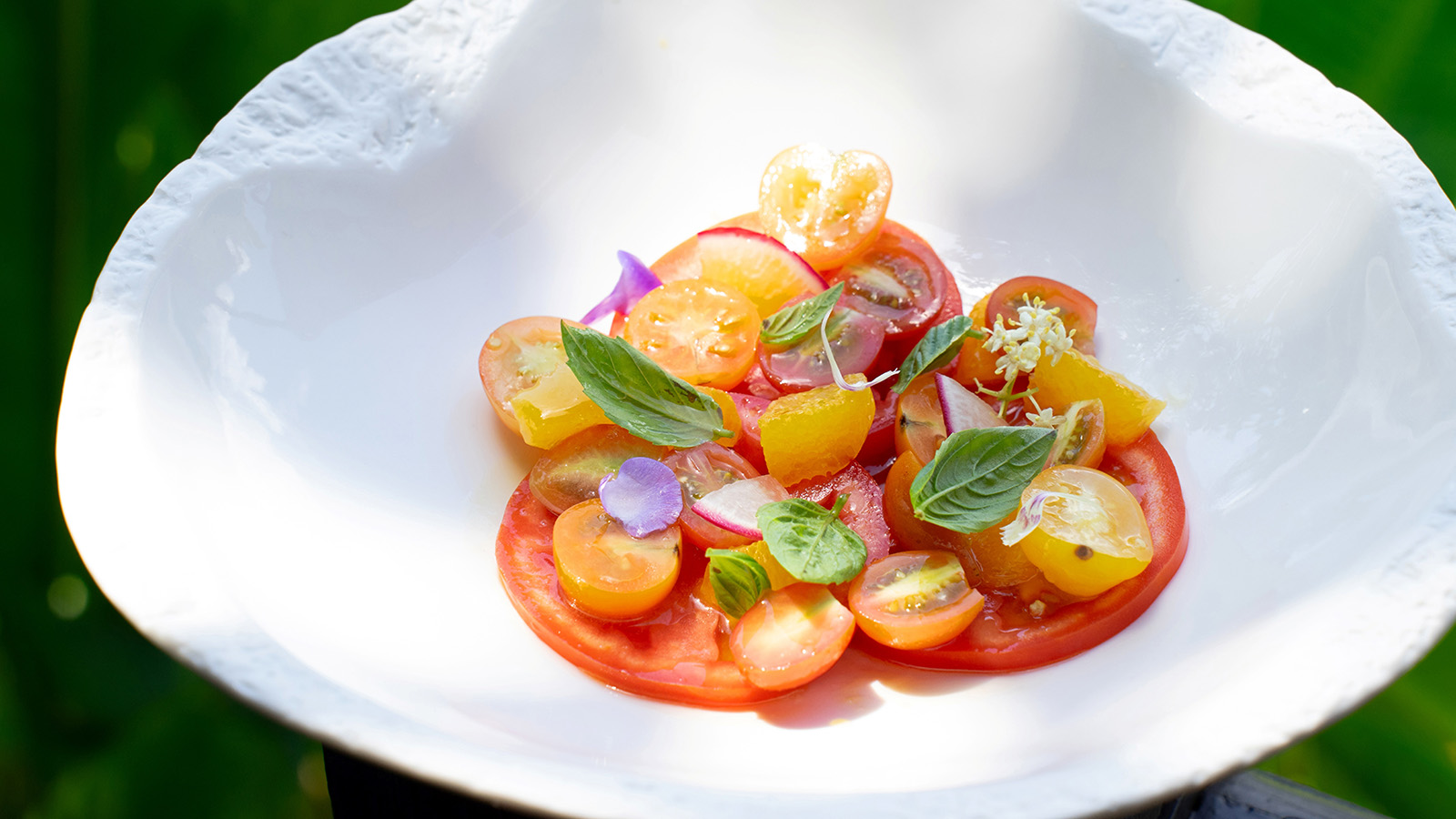 Four Seasons Resort Chiang Mai Celebrates Earth Day with Sustainable ...