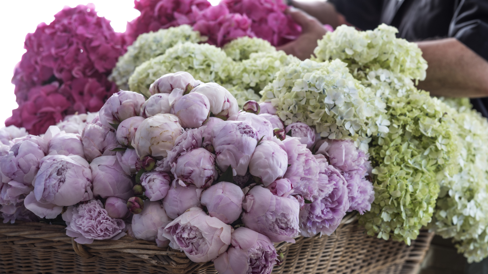 Closer to Paradise Thanks to Colombian Flowers