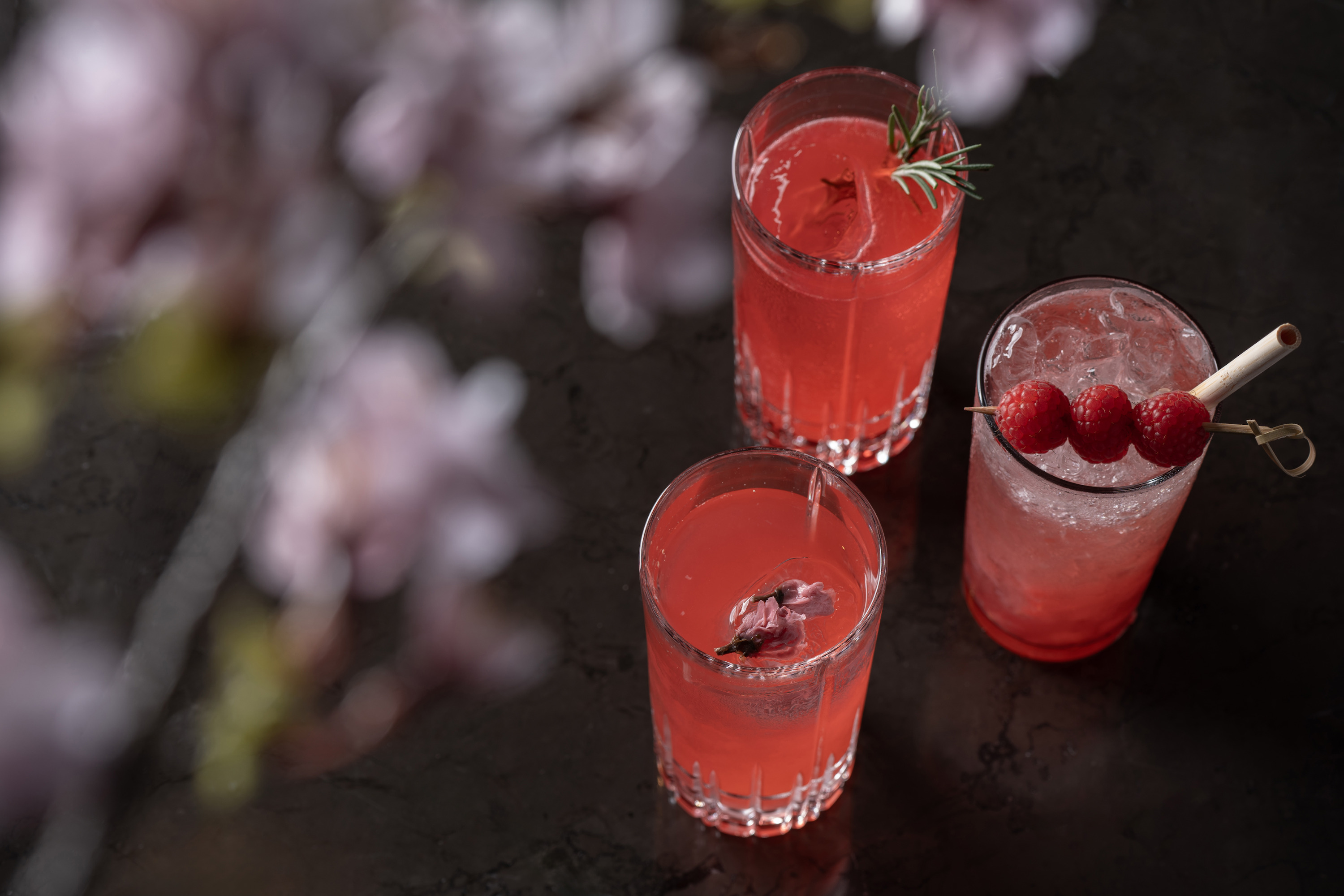 A Season in Bloom: Discover the Best of Sakura with Four Seasons Hotel ...