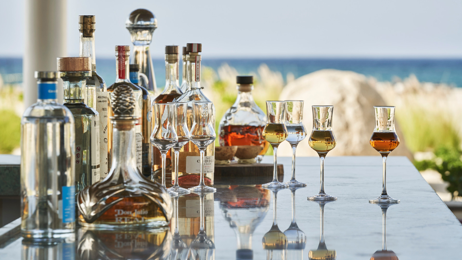 10 Things You Never Knew About Agave