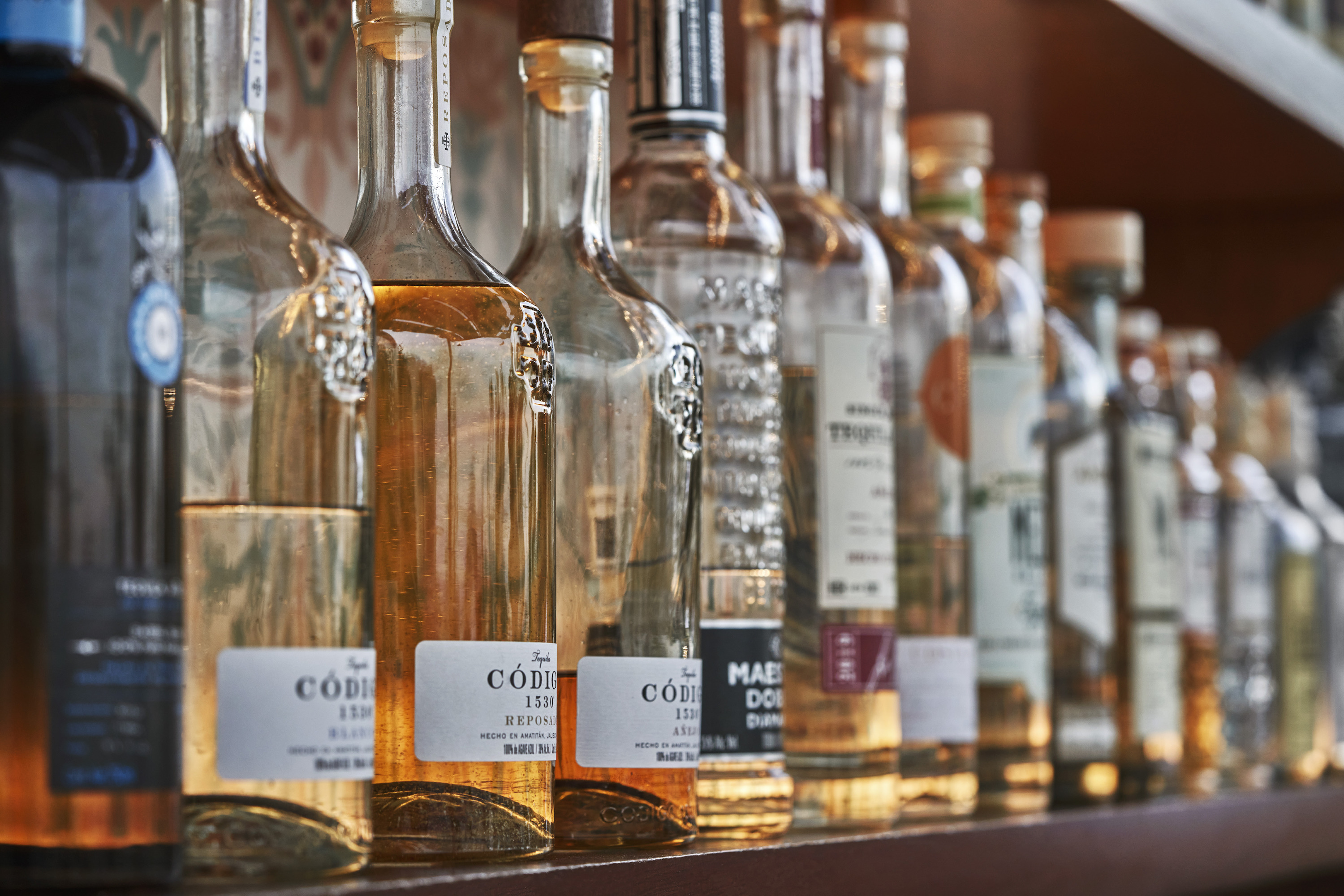 10 Things You Never Knew About Agave