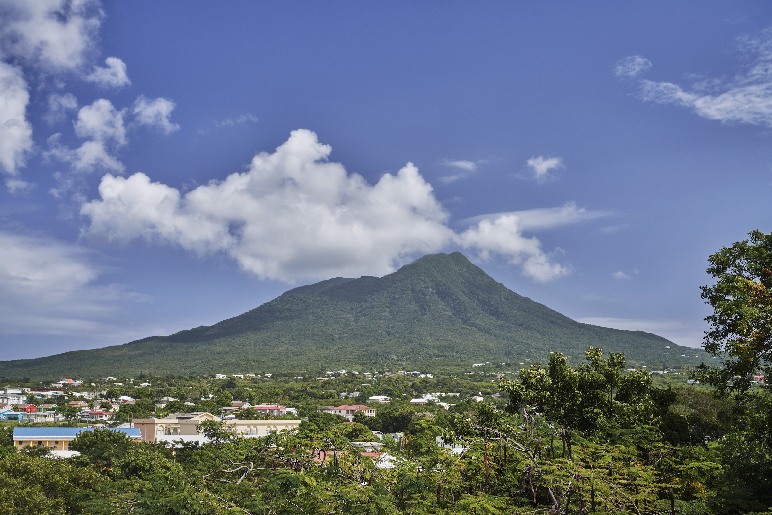 Nevis Naturally: The Benefits of the Bush