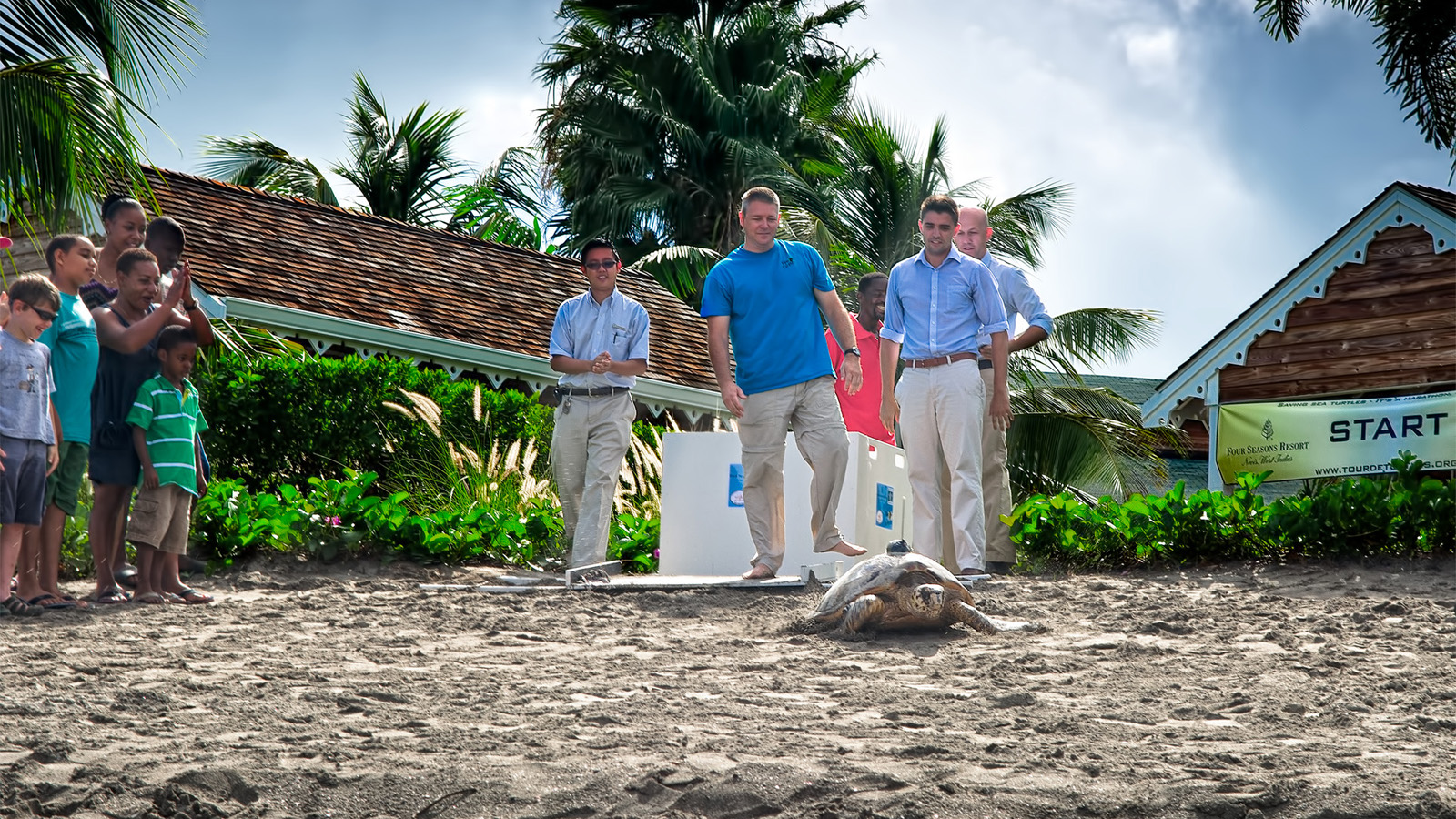 Connected for Conservation: Four Seasons Resort Nevis and the Sea ...