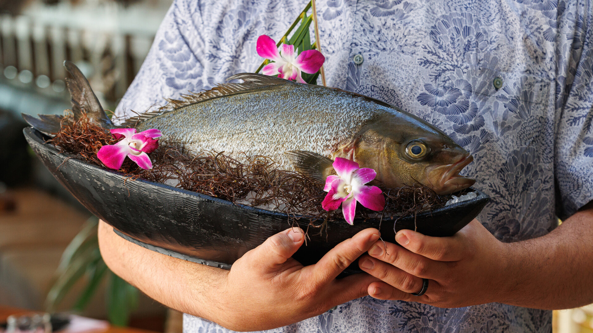 Four Seasons Resort Oahu at Ko Olina Launches New Culinary Series ...