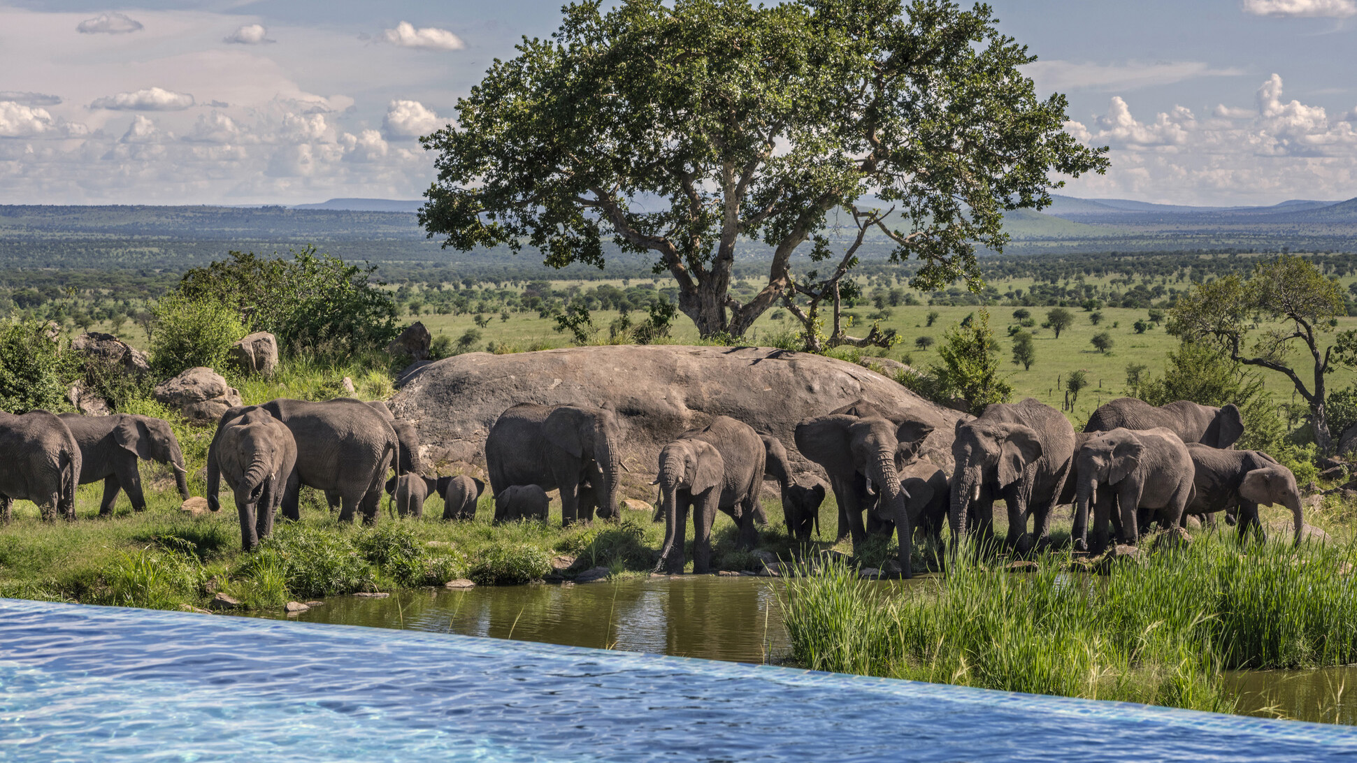 Four Seasons Safari Lodge Serengeti Embraces the Sun with its Solar ...