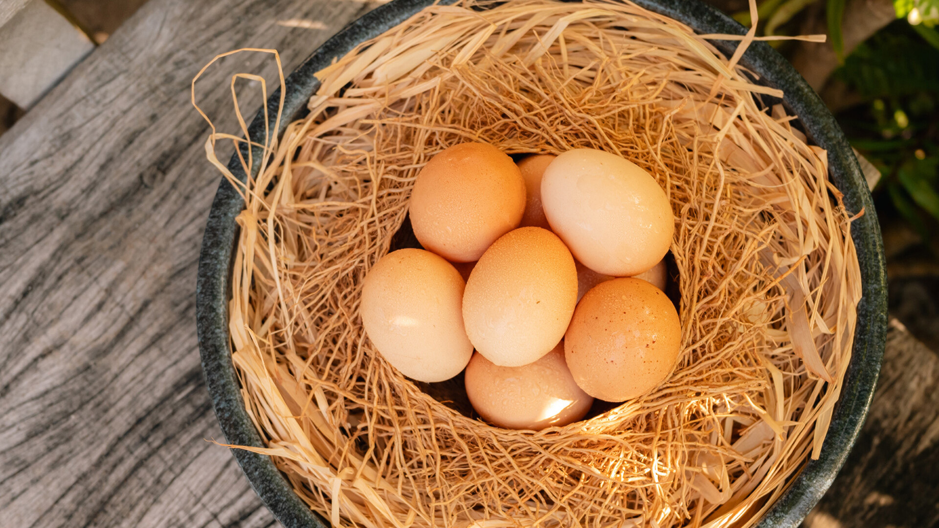 Hop into Paradise: Easter Festivities at Four Seasons Resort Seychelles ...