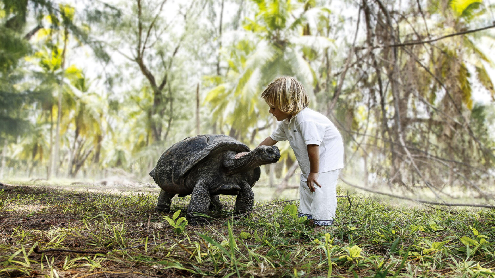 Hop into Paradise: Easter Festivities at Four Seasons Resort Seychelles ...