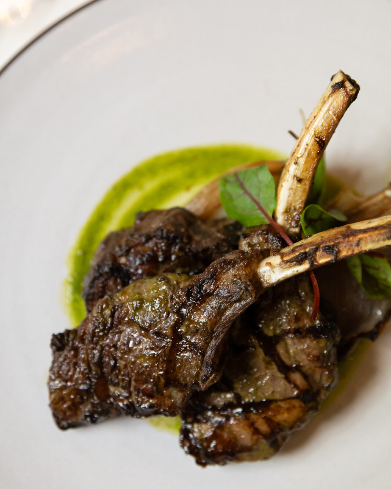 Coin & Candor Unveils New Menu Under Leadership of Chef Hugo Bolaños at ...