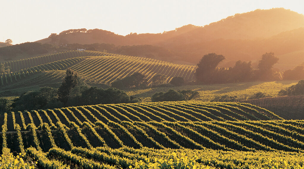 9 Ways to Maximize Your Micro-Vacation - Four Seasons Magazine